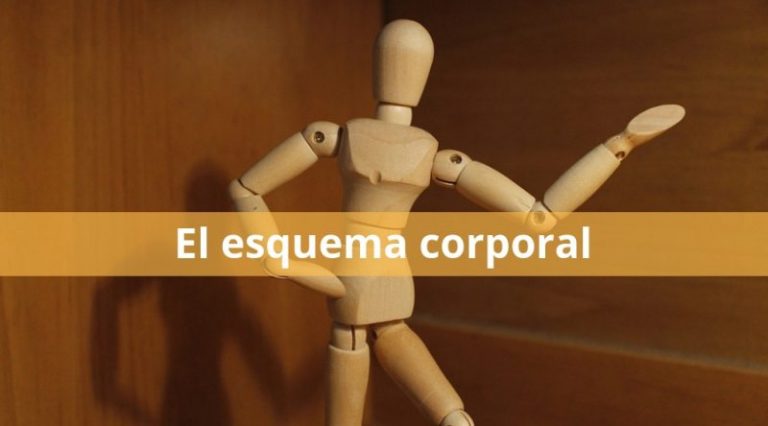 ¿Qué entendemos por esquema corporal? ¿Qué información nos aporta?