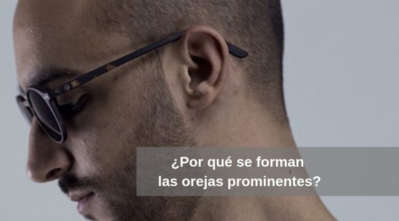 ¿Por qué se forman las orejas prominentes o en forma de soplillo ...