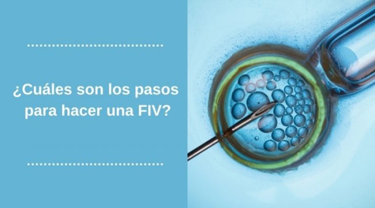¿Cuáles son los pasos para hacer una FIV? - Blog de Masquemedicos